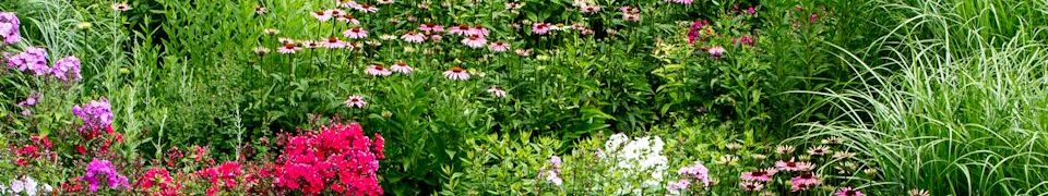 Gartenplanung mit Stauden | E. Koch Staudenkulturen